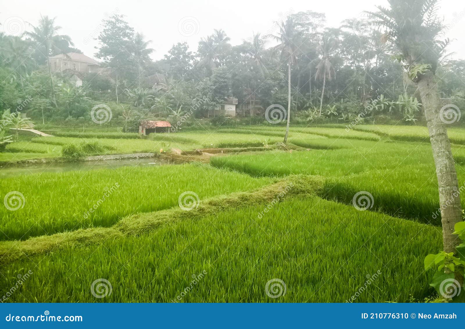 Beautiful View in the Indonesia Countryside Stock Photo - Image of ...