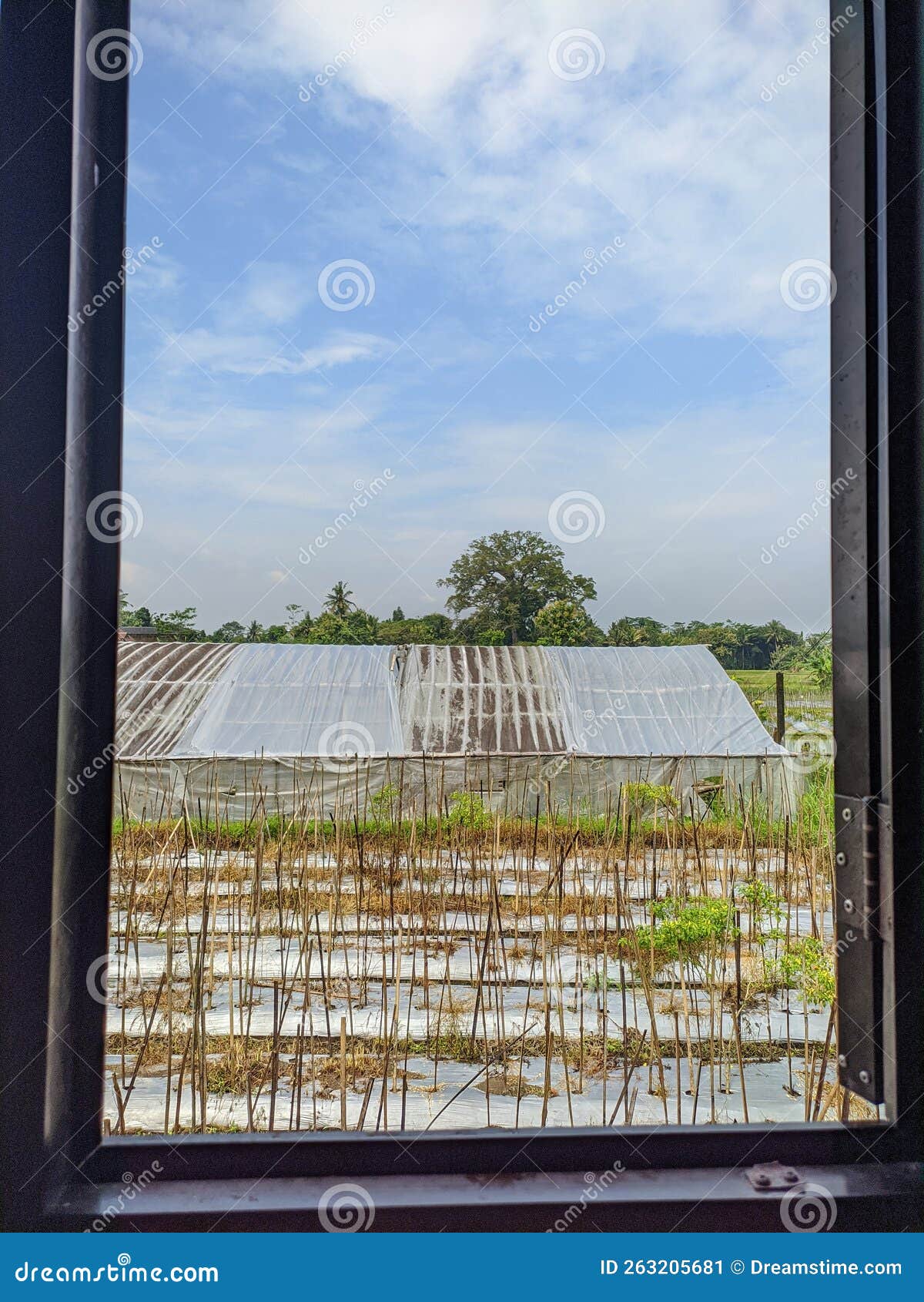 Beautiful View from Inside the Window Stock Image - Image of view ...