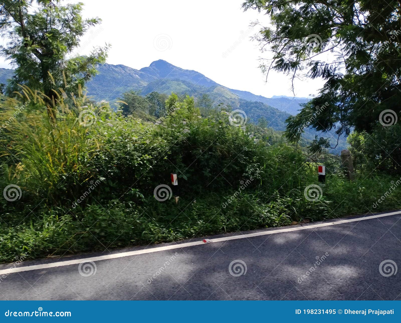 Beautiful View of Kerela Forest Stock Image - Image of beautiful ...