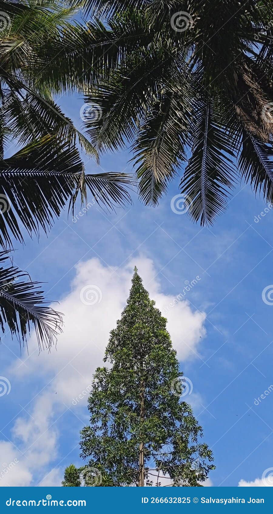 Beautiful View in Kuningan Indonesia Stock Image - Image of morning ...