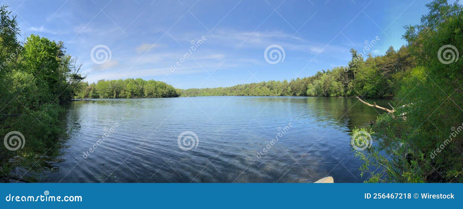 Beautiful View of a Lake Surrounded by Trees. Stock Photo - Image of ...