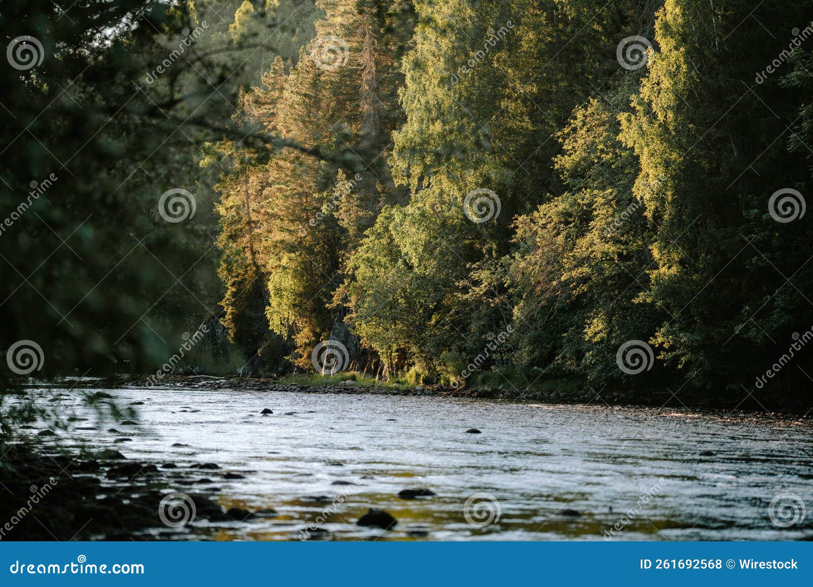 Beautiful View of a Lake Surrounded by Trees. Stock Photo - Image of ...