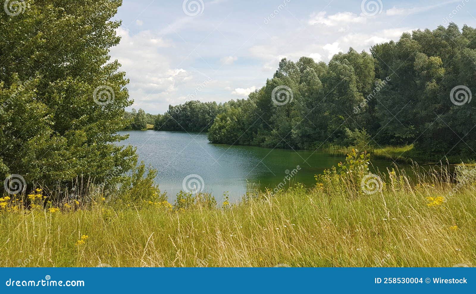 Beautiful View of a Lakeside with Grass and Trees Stock Photo - Image ...