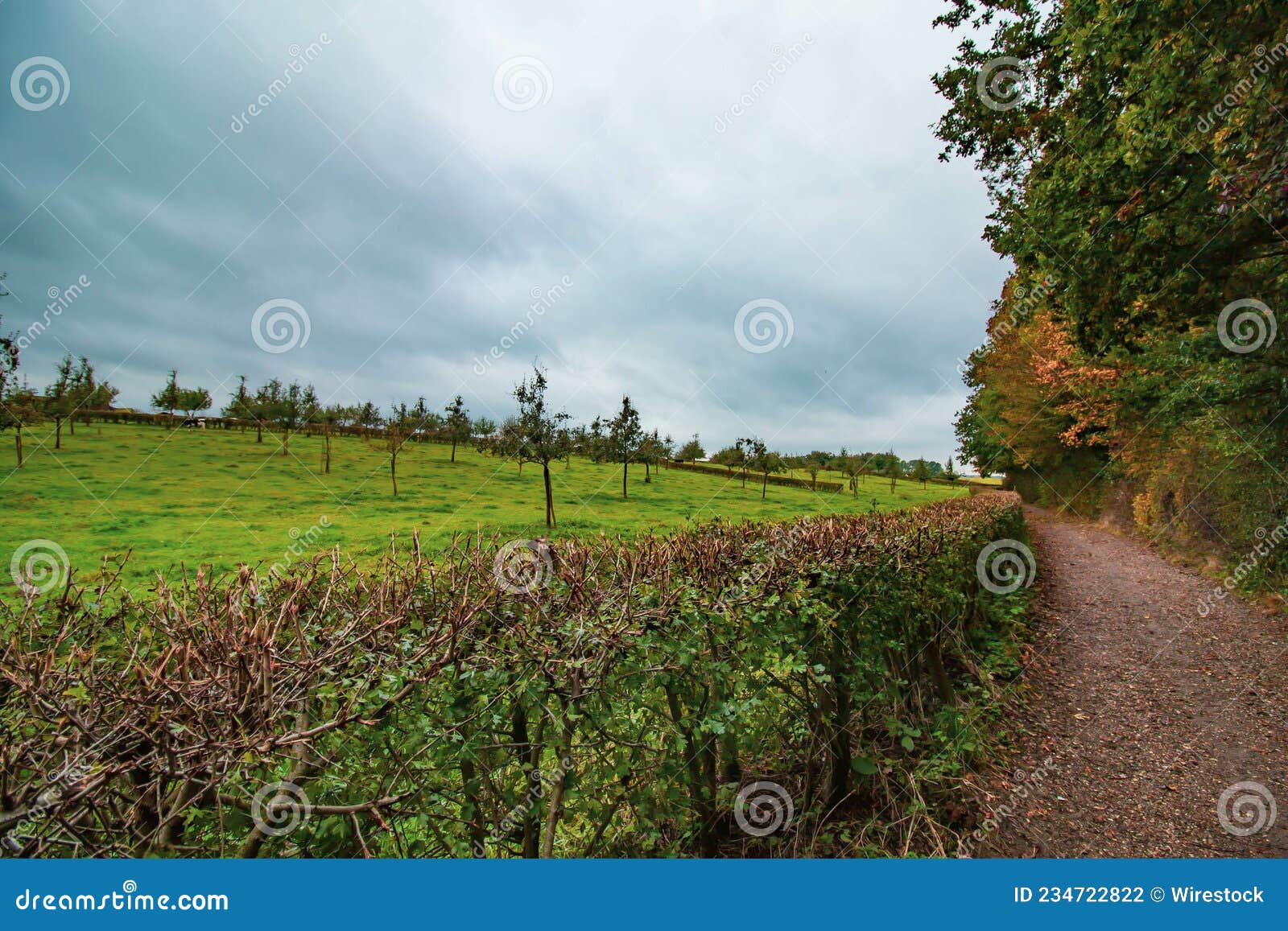 Beautiful View of a Landscape with a Pathway Surrounded by Greenery ...