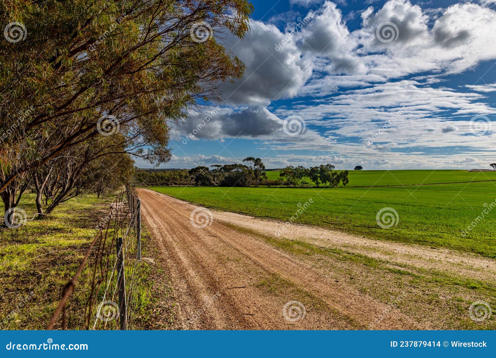 Beautiful View of a Landscape with a Pathway Surrounded by Trees and ...