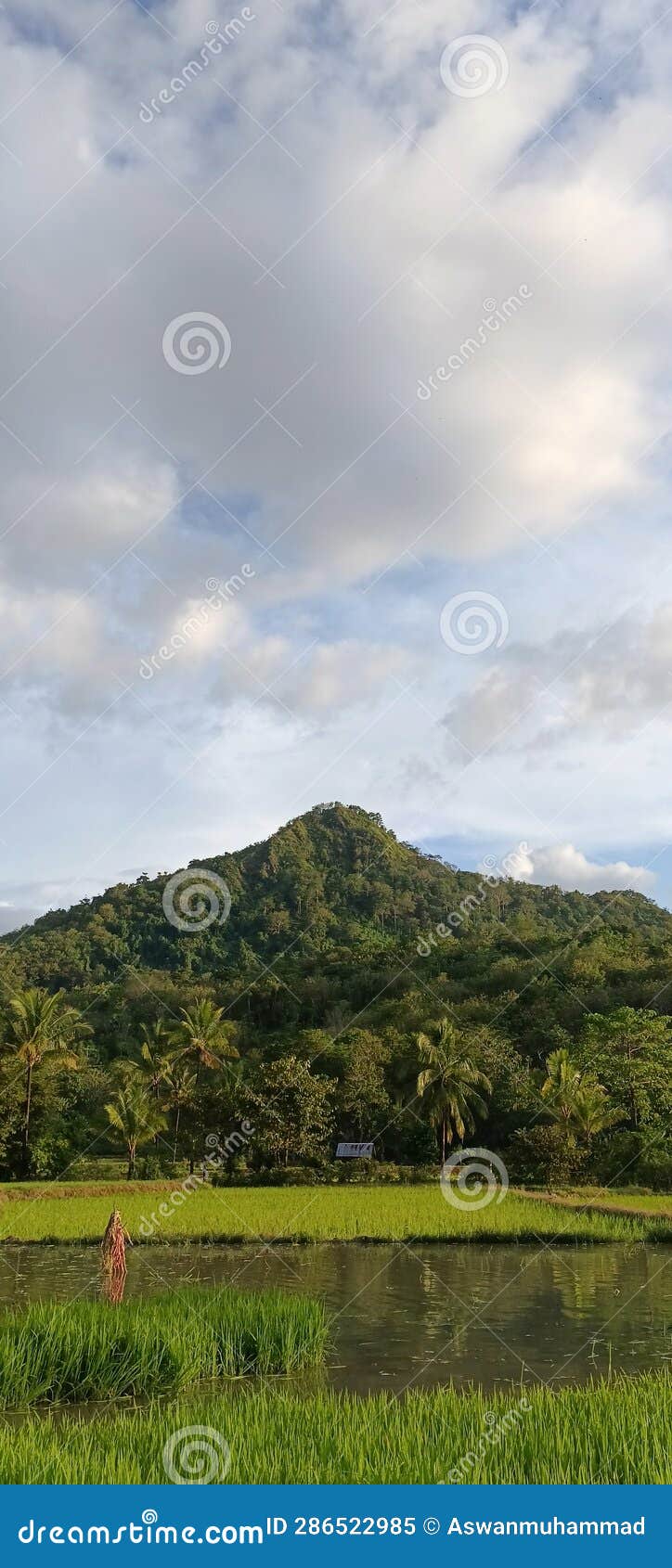 Beautiful View Looking Up at the Mountain Stock Image - Image of ...