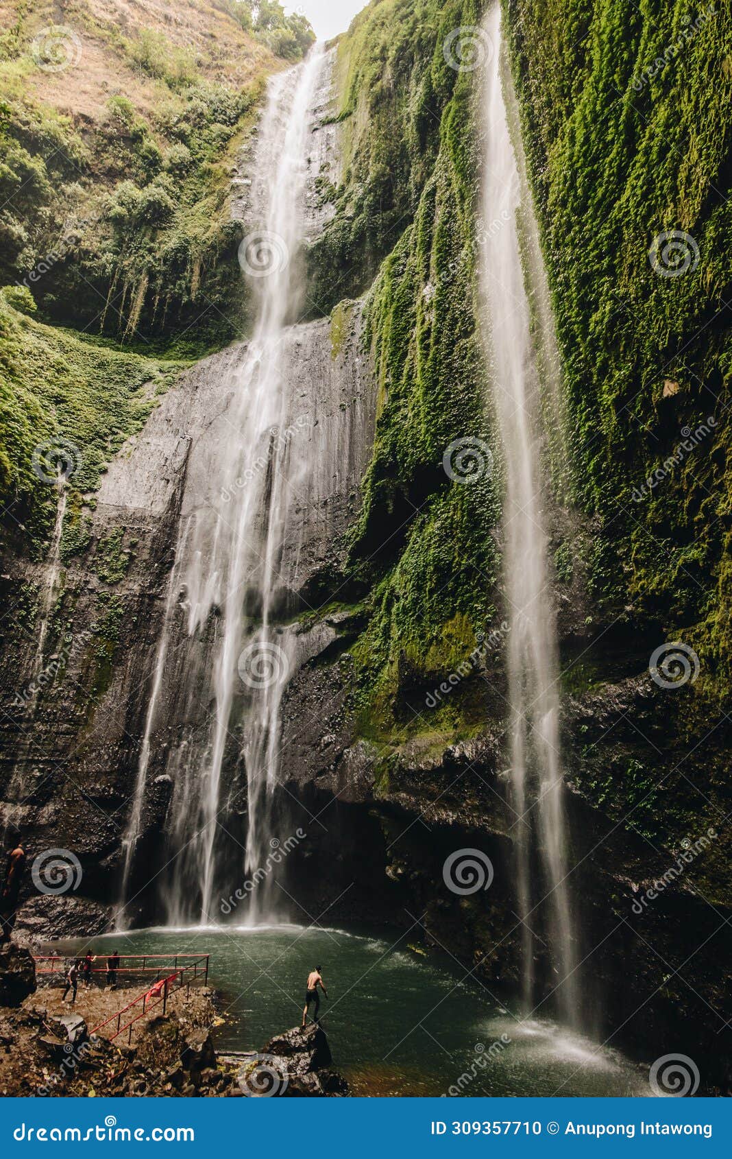 Beautiful View of Madakaripura Waterfalls in Java, Indonesia. Stock ...