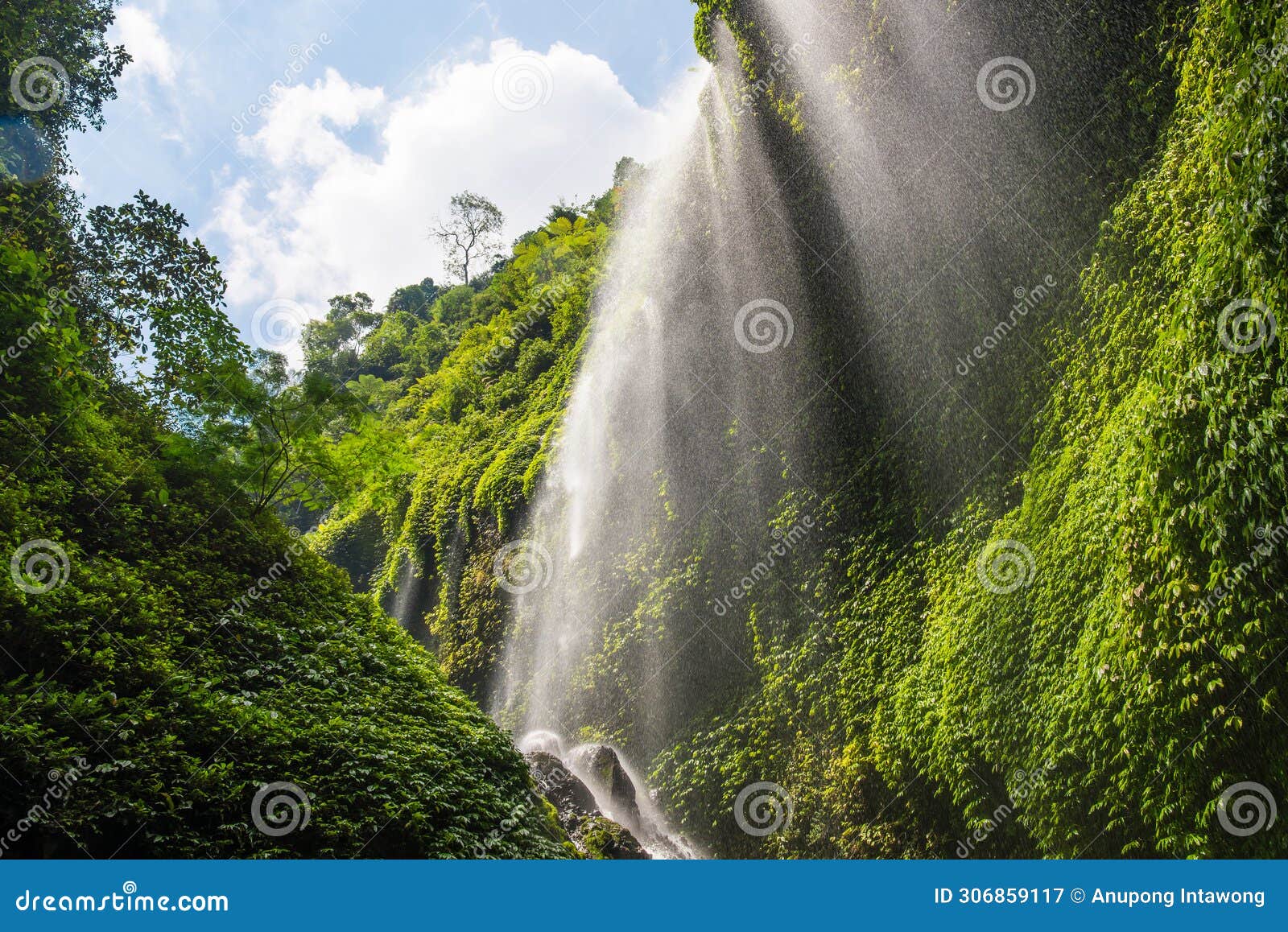 Beautiful View of Madakaripura Waterfalls the Tallest Waterfalls in ...