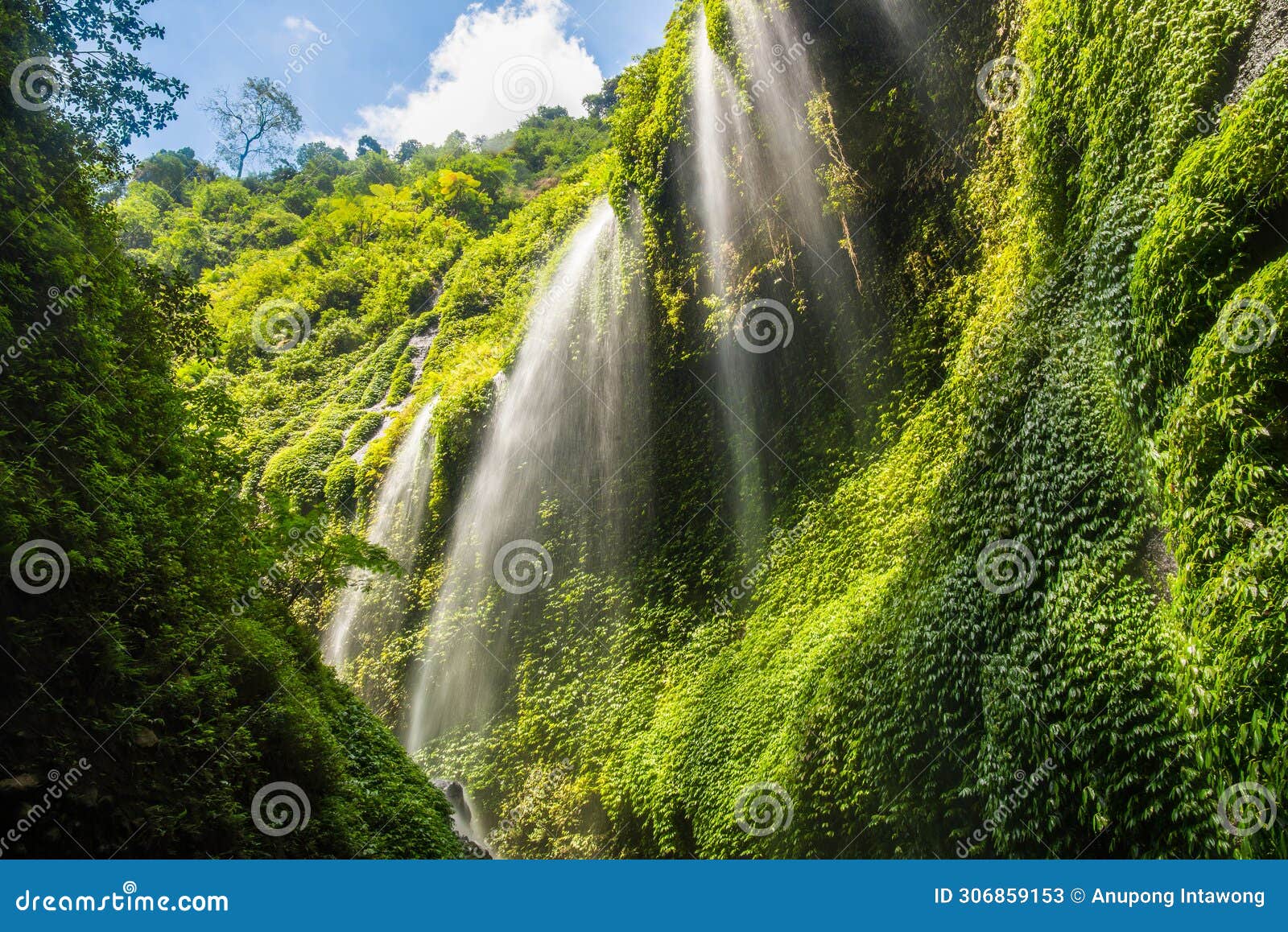 Beautiful View of Madakaripura Waterfalls the Tallest Waterfalls in ...