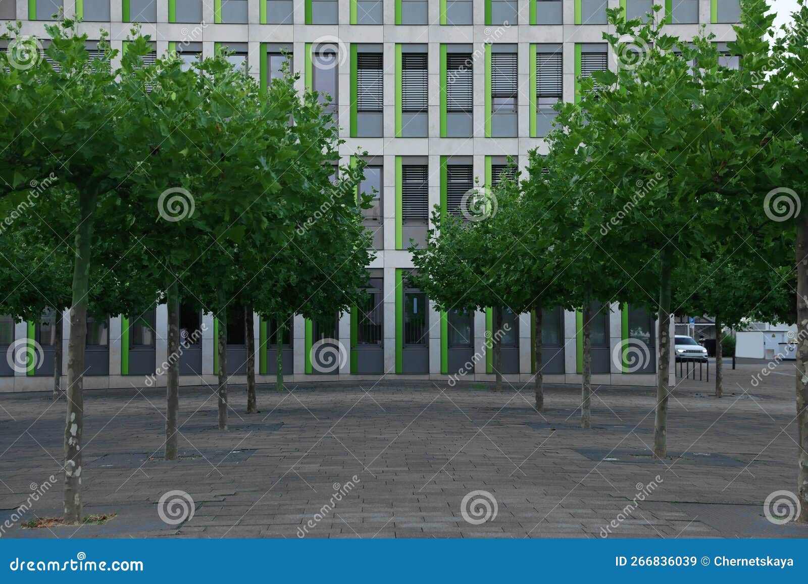 Beautiful View of Modern Building with Big Windows and Trees Outdoors ...