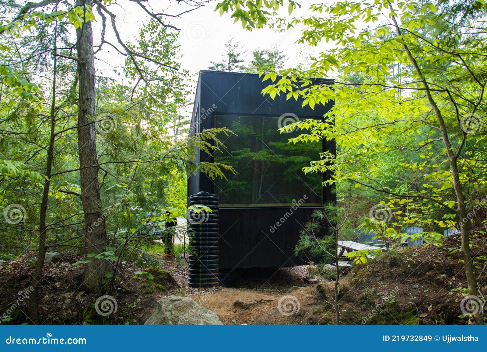 Beautiful View of Modern Cabins in a Forest Stock Image - Image of ...