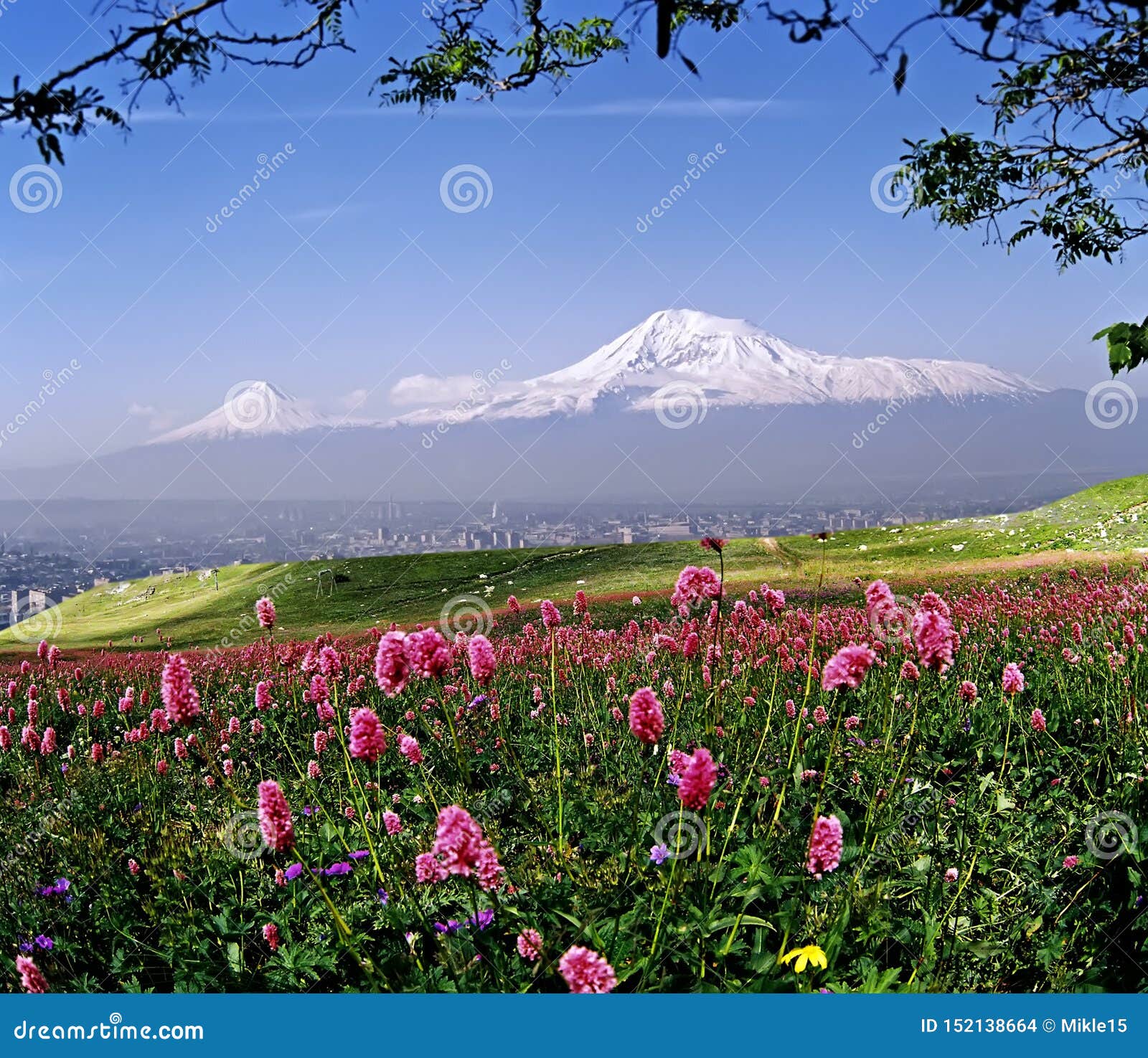 Beautiful View of Mount Ararat Stock Photo - Image of imagination, high ...