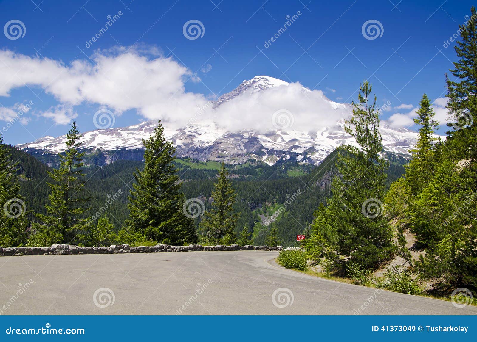 Beautiful View of Mount Rainier Stock Image - Image of blue, distance ...