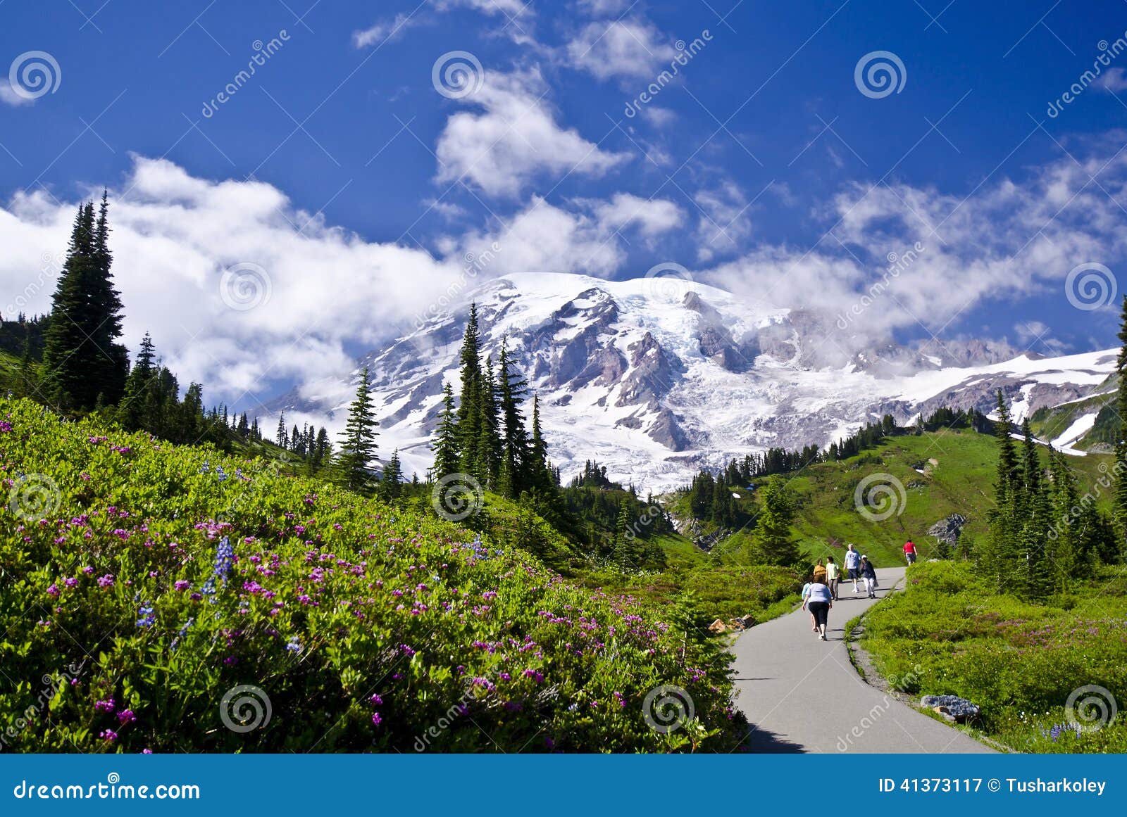 Beautiful View of Mount Rainier Stock Image - Image of landscape, lift ...