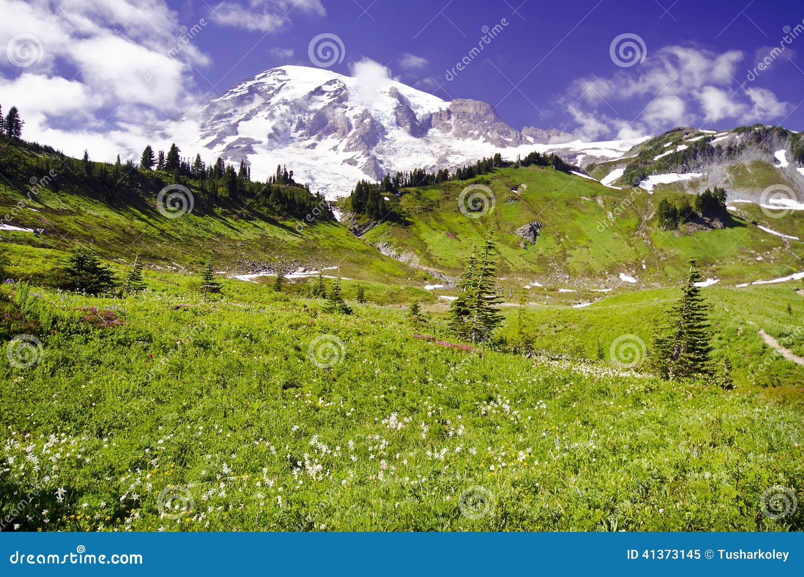 Beautiful View of Mount Rainier Stock Image - Image of mountain ...