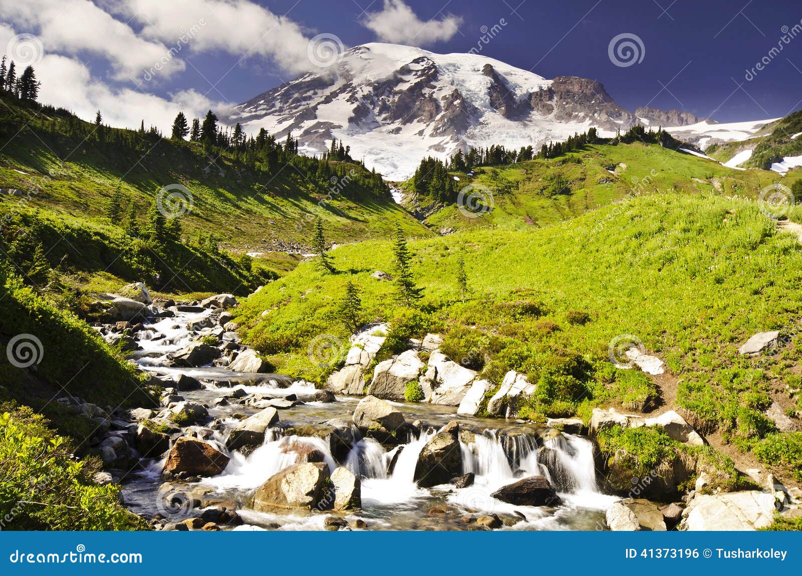 Beautiful View of Mount Rainier Stock Photo - Image of elevated ...