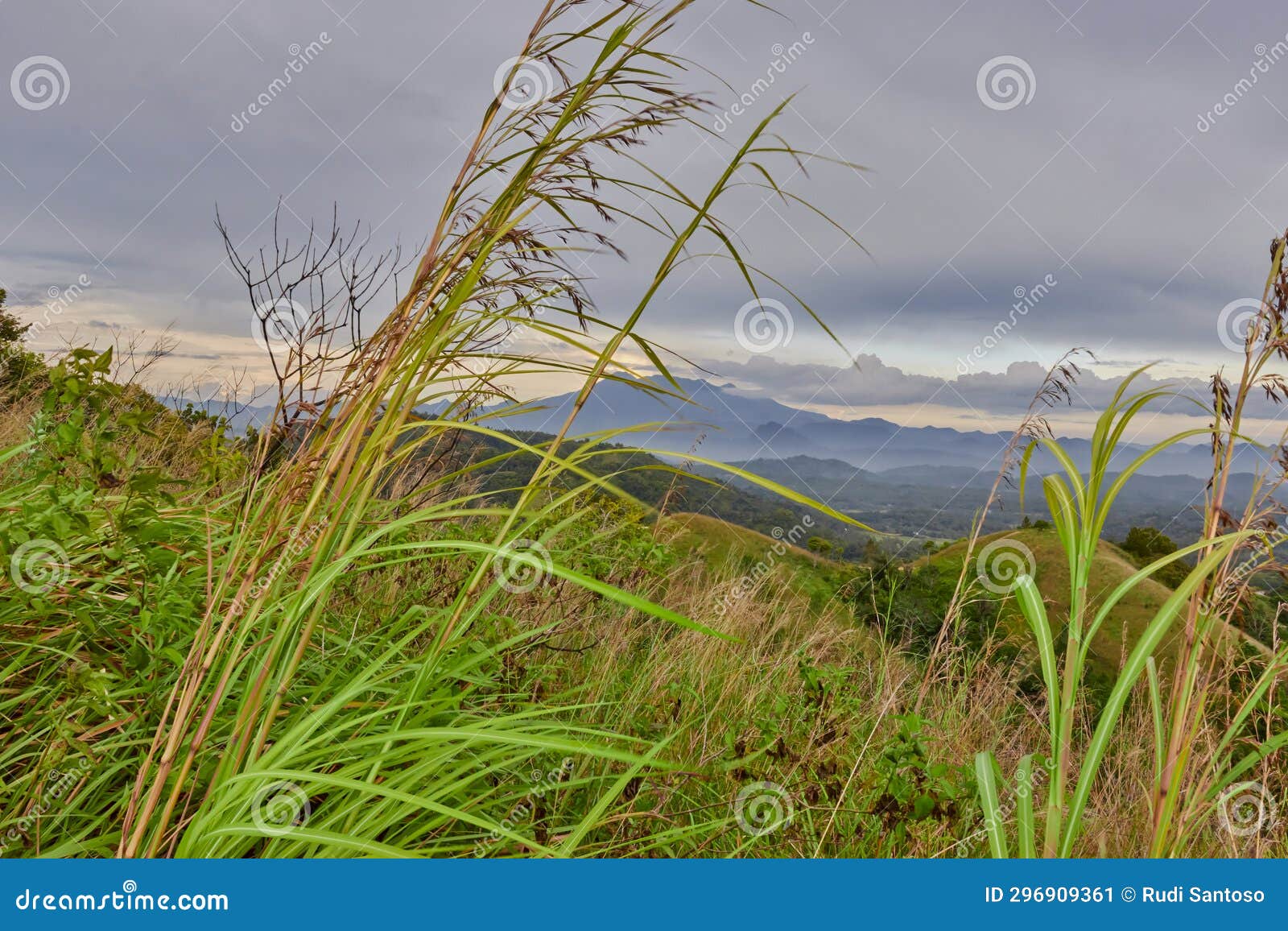 Beautiful View with Mountain Background. West Sumatra, Indonesia. Stock ...