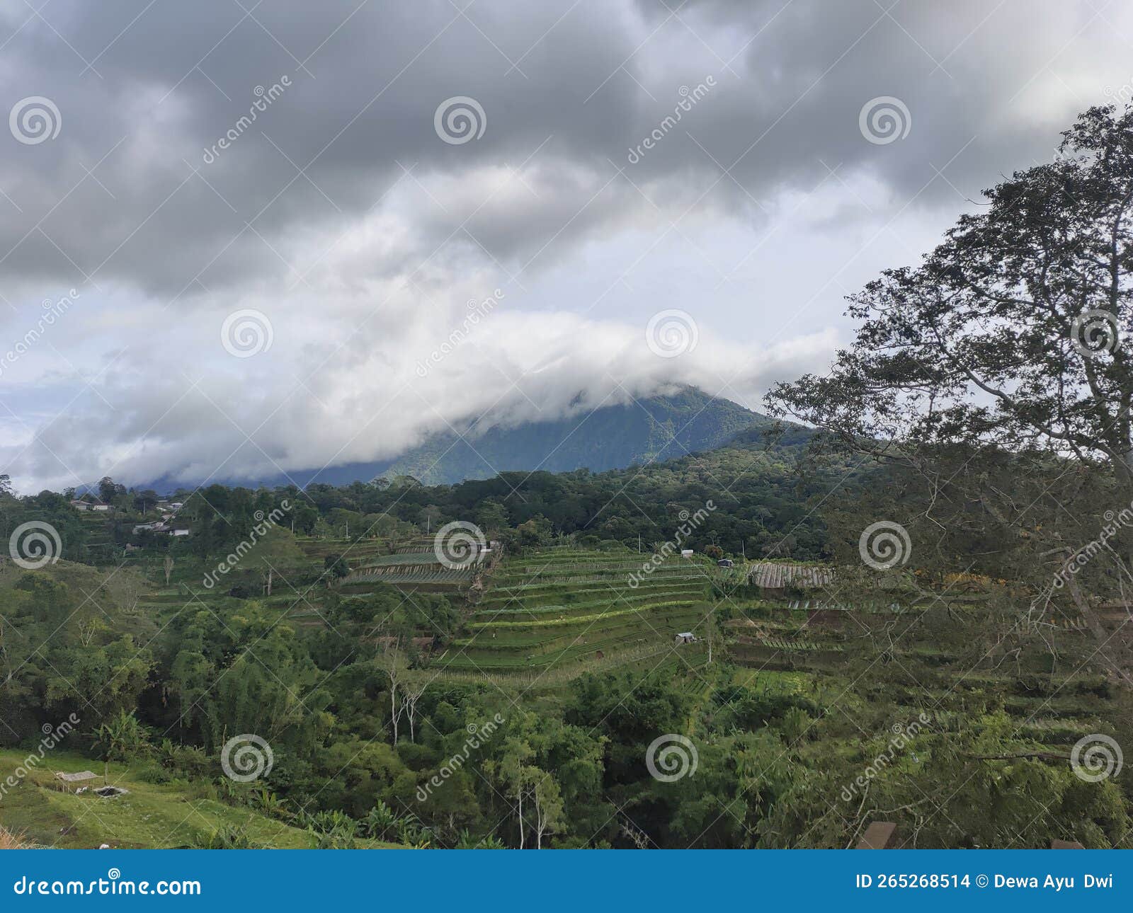 Beautiful View of the Mountains of Bedugul Village Stock Photo - Image ...