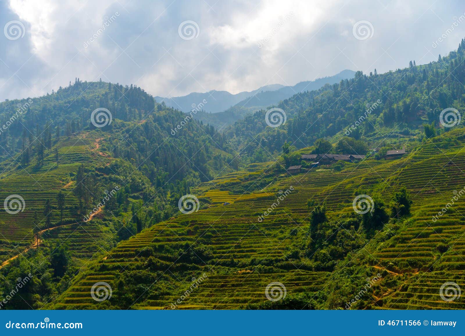 Beautiful View of Mountains Contain Terraced Fields Stock Photo - Image ...