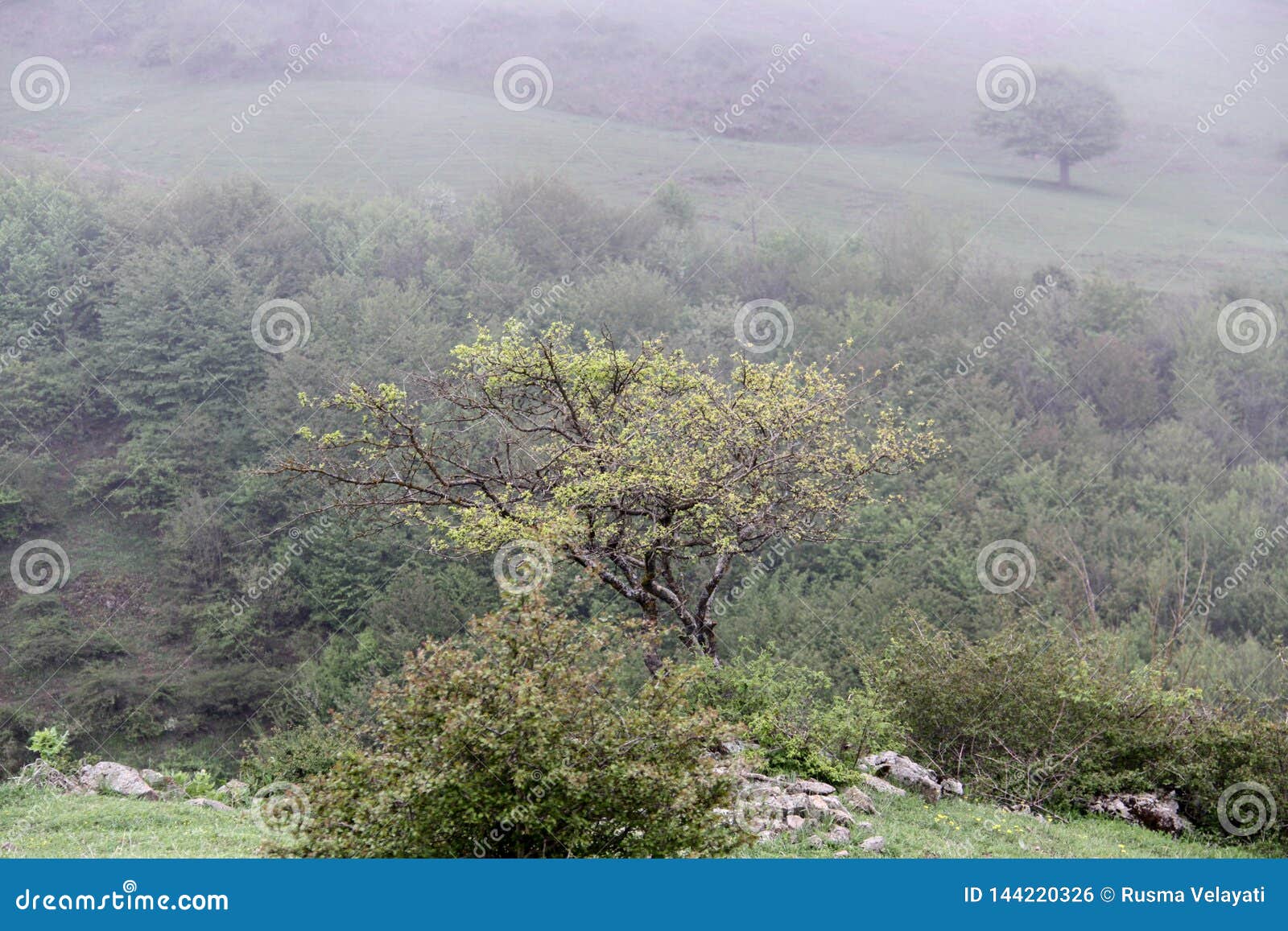 A Beautiful View of Nature in Iran, Gilan Stock Photo - Image of ...