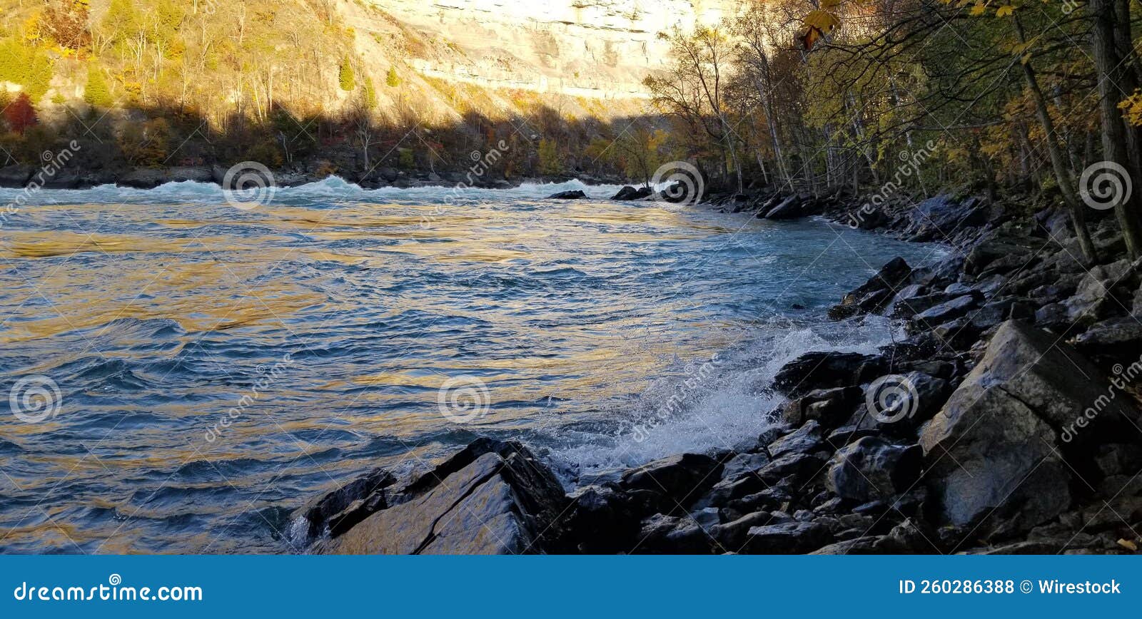 Beautiful View of the Niagara River Gorge Surrounded by Forest in ...