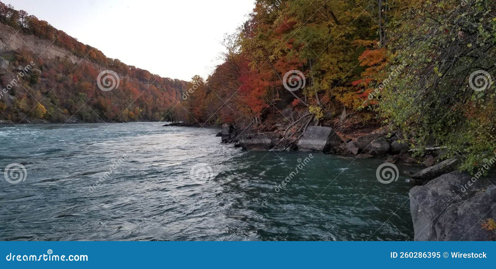 Beautiful View of the Niagara River Gorge Surrounded by Forest in ...