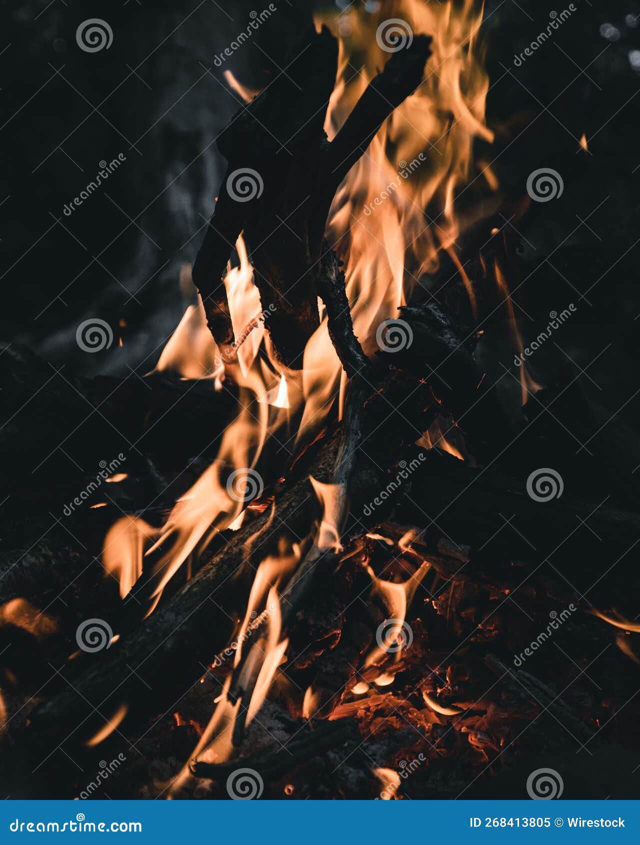 Beautiful View of a Night Campfire in the Forest Stock Image - Image of ...