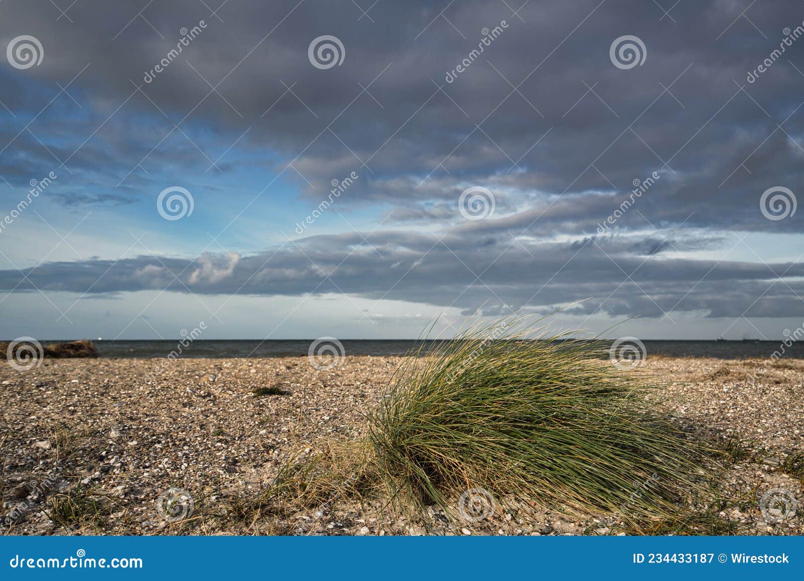 Beautiful View of an Ocean and Beach Grass Stock Image - Image of grass ...