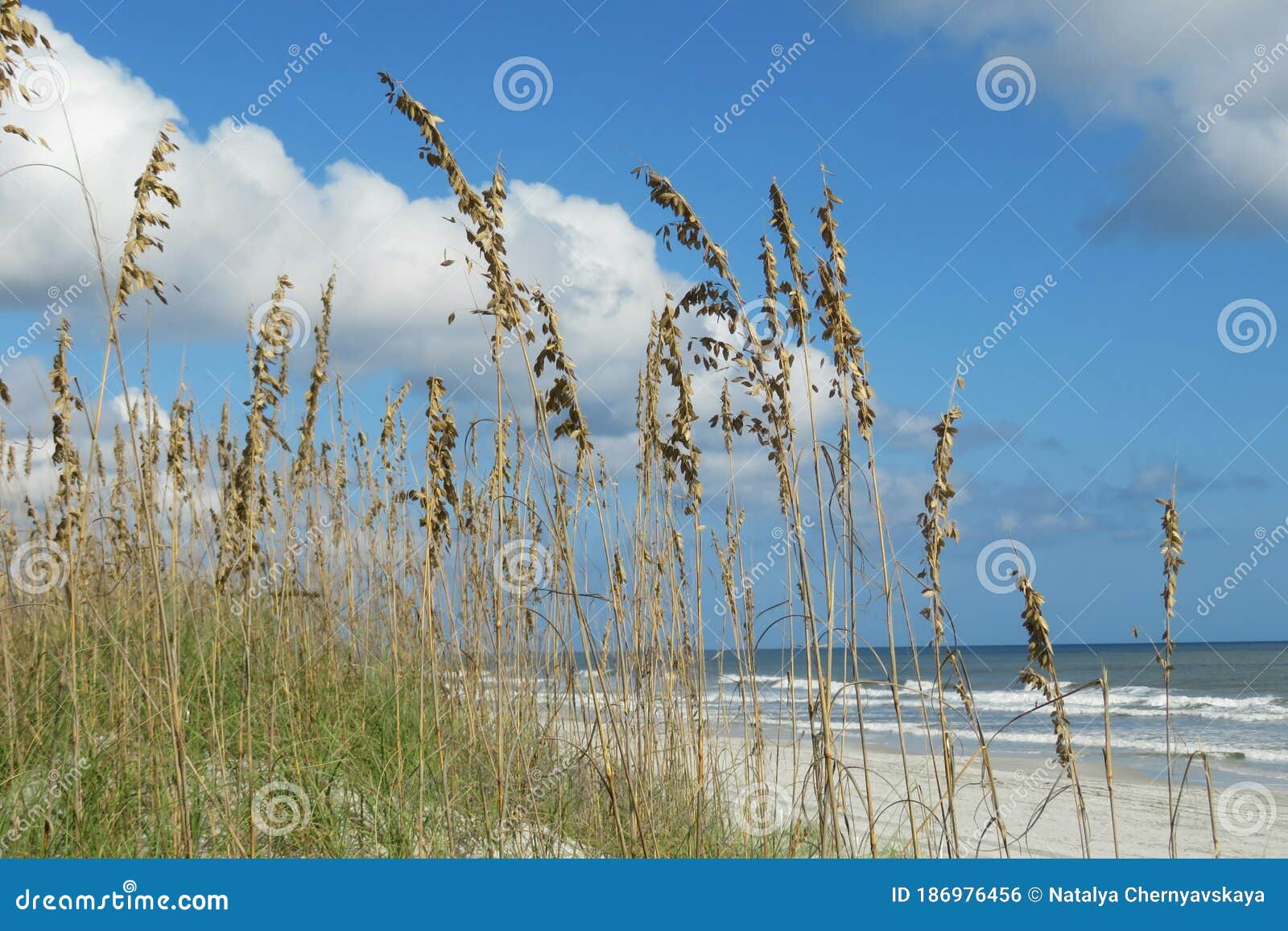 Beautiful Ocean and Sky View on Florida Beach Stock Photo - Image of ...