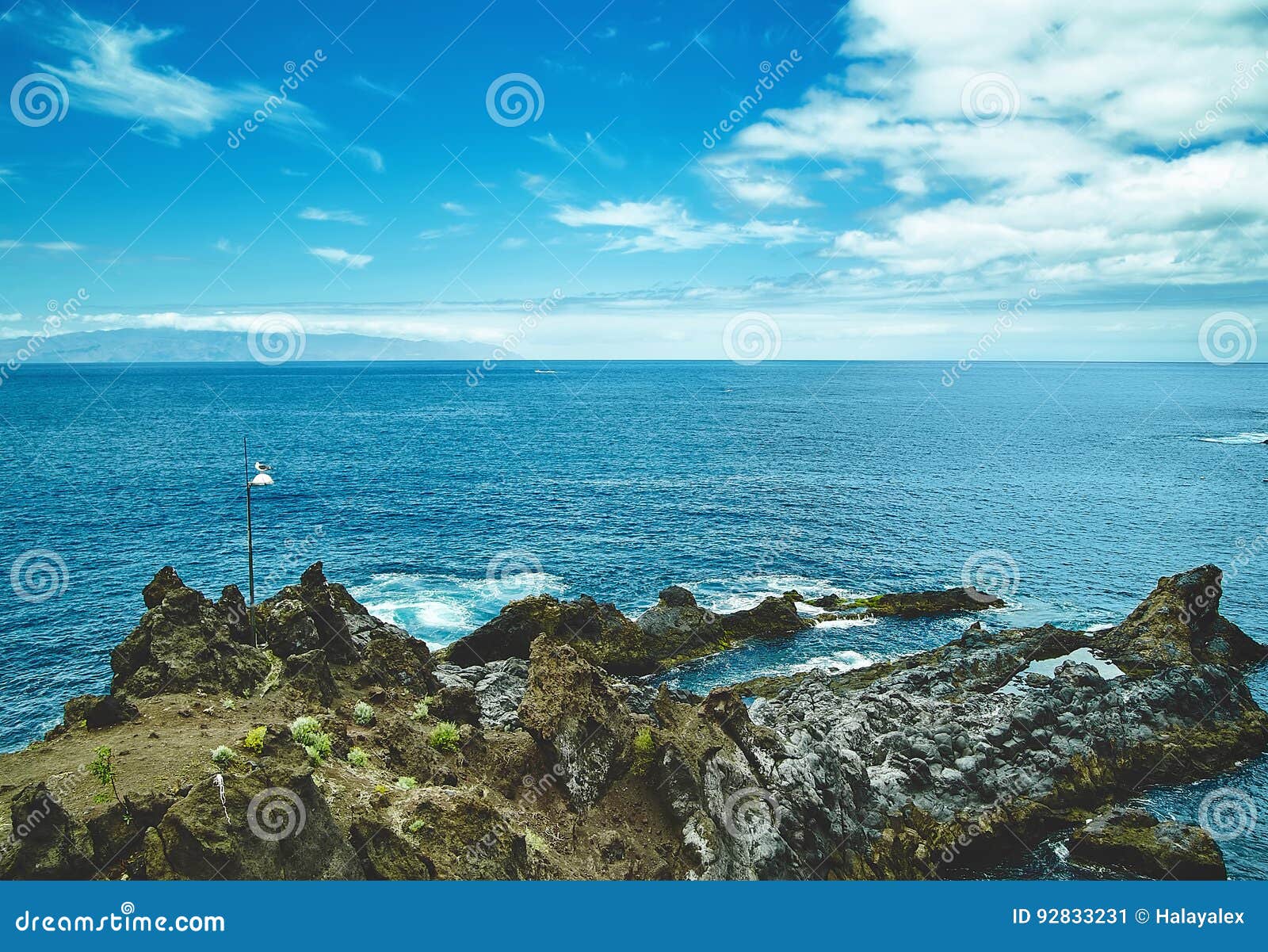 Beautiful View from the Ocean To Mountain Forest Stock Image - Image of ...