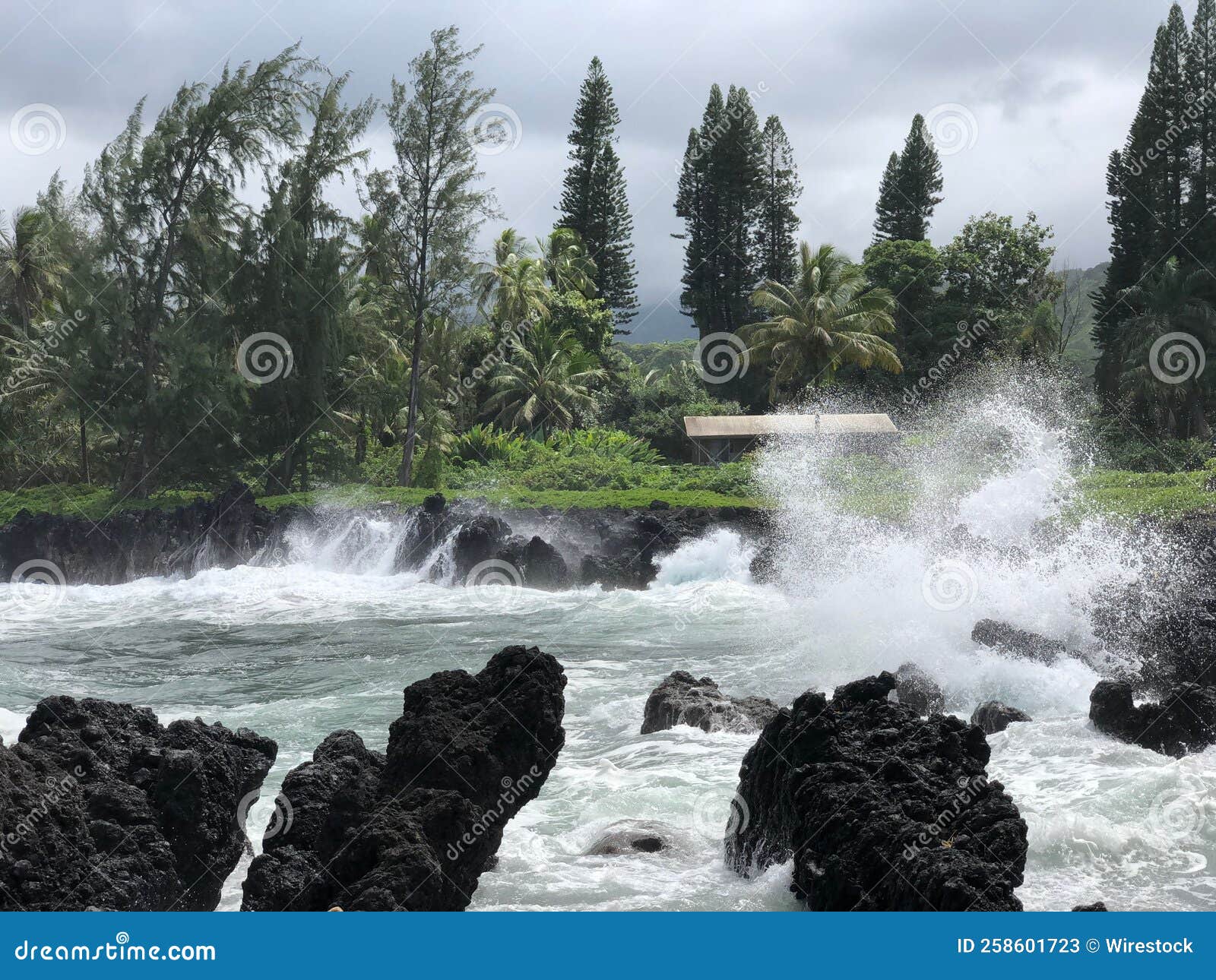 Beautiful View of Ocean Waves Splashing on Rocks Stock Image - Image of ...