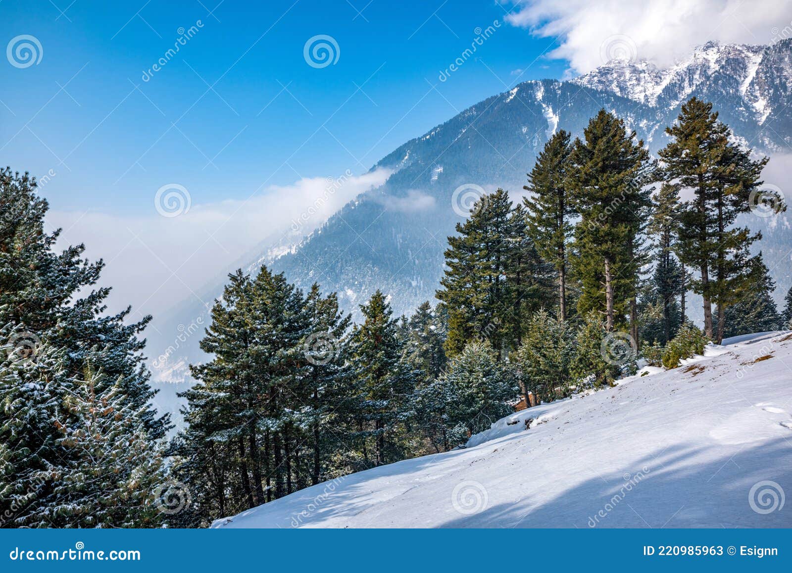 Beautiful View of Pahalgam Valley, Pahalgam, Kashmir, India Stock Image ...