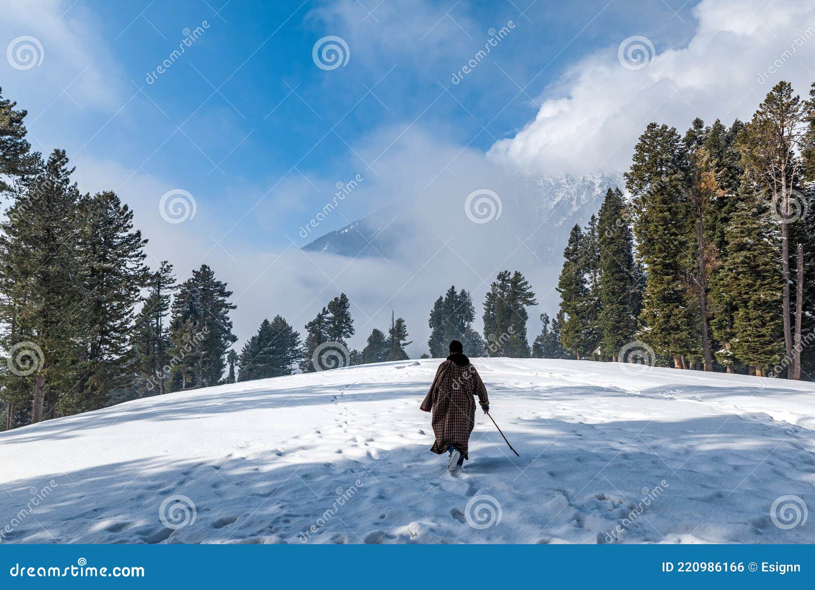View of Pahalgam Valley, Pahalgam, Kashmir, India Editorial Photo ...