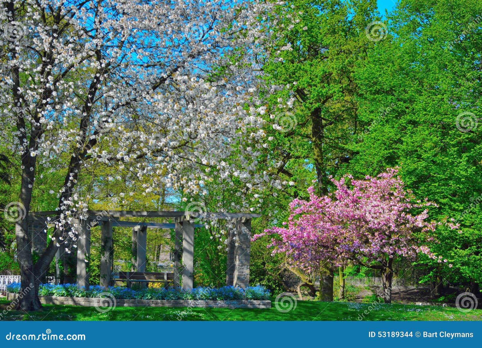 Beautiful view of a parc stock photo. Image of green - 53189344