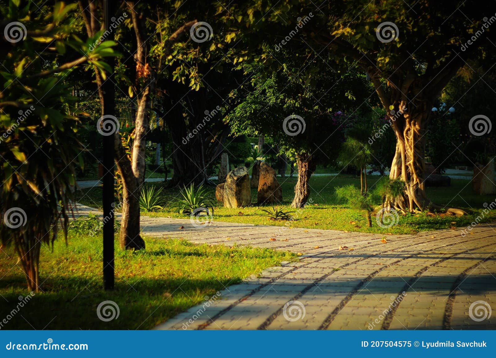 Beautiful view in the park stock image. Image of view - 207504575