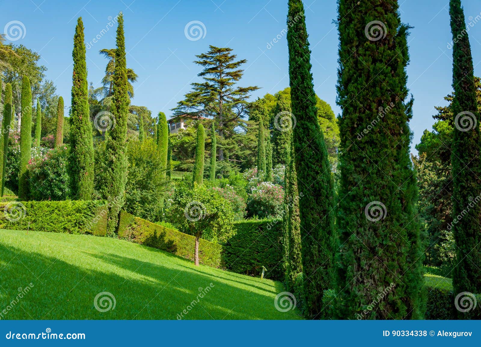 Beautiful View of the Park with Bright Greenery Stock Photo - Image of ...
