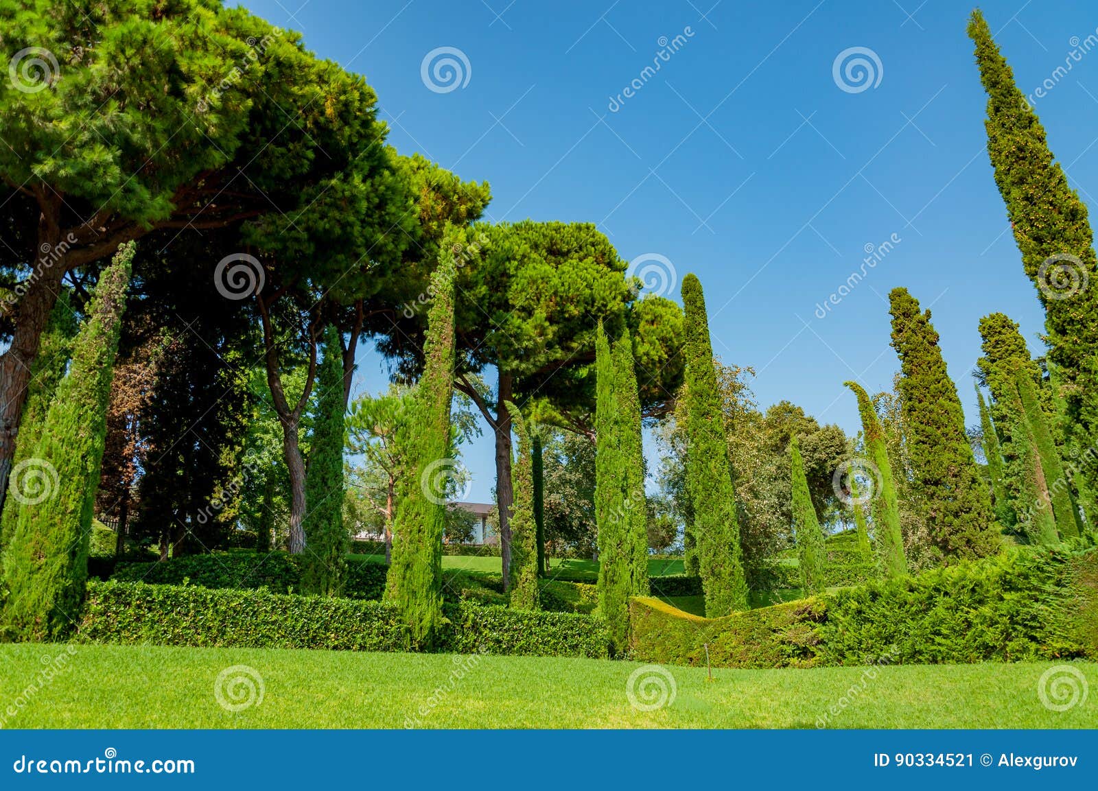 Beautiful View of the Park with Bright Greenery Stock Image - Image of ...