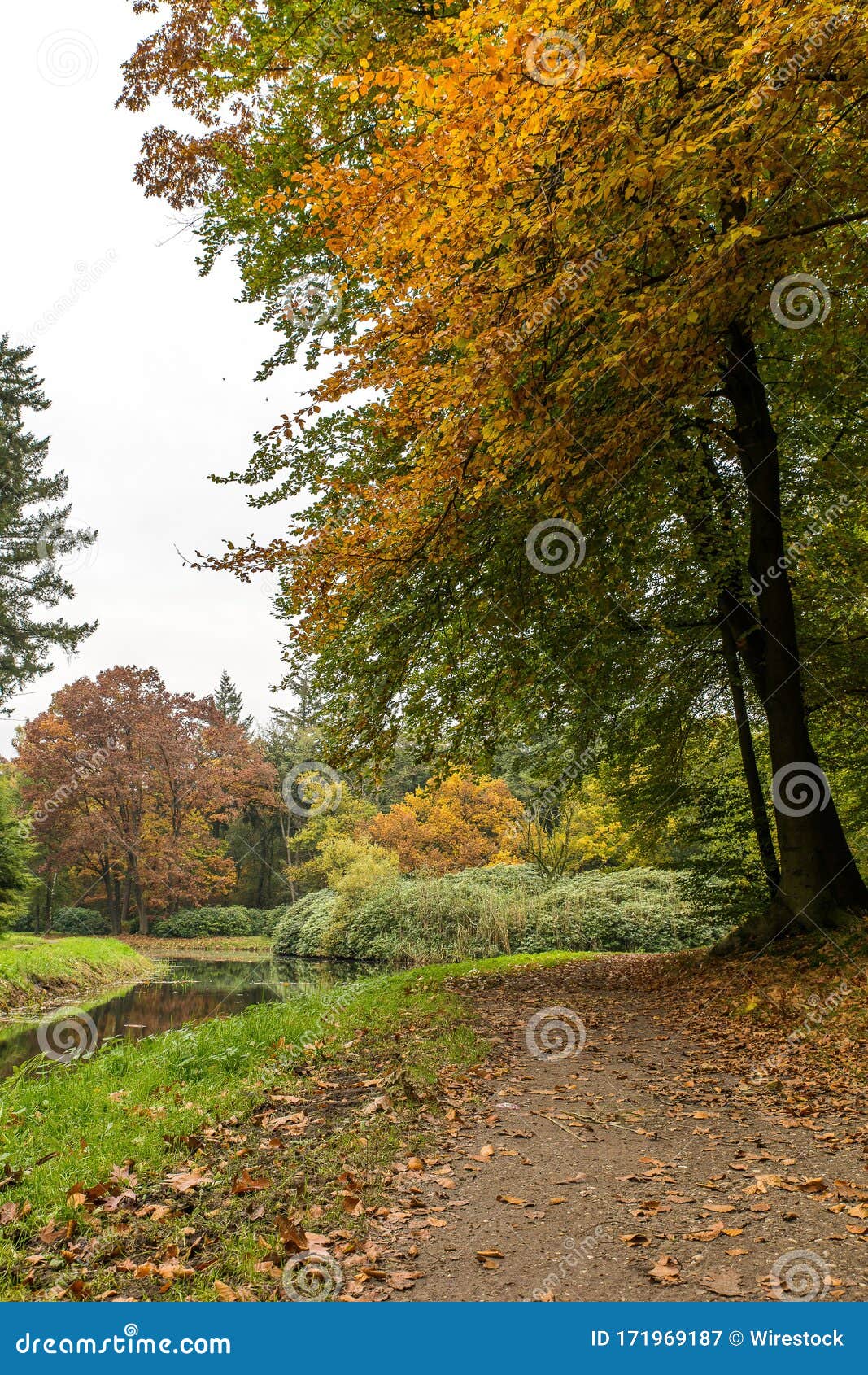Beautiful View of a Park Filled with Trees with a Pathway by the Lake ...