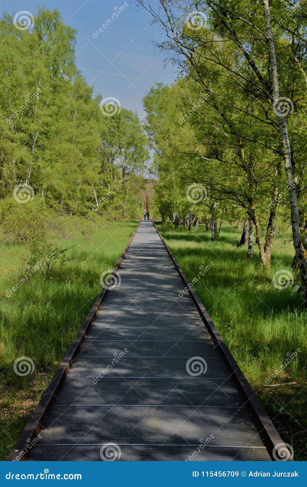 Beautiful View of the Park. a Long Path in the Middle Stock Image ...