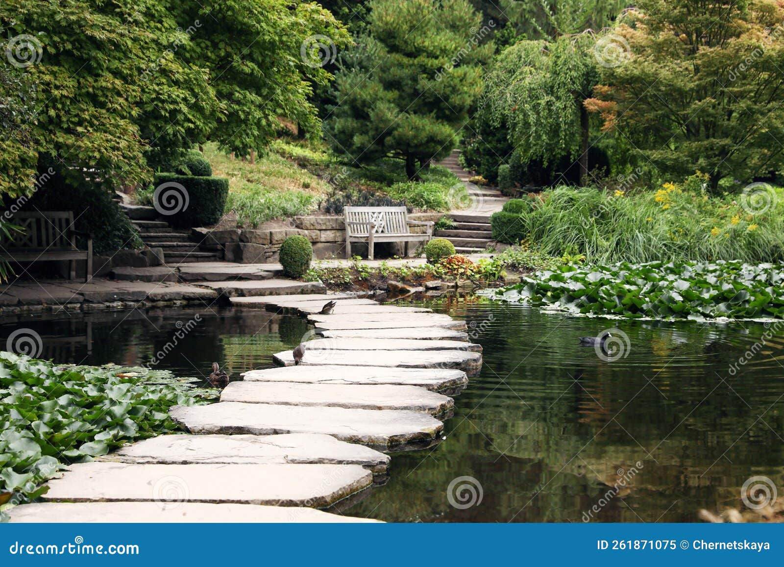 Beautiful View of Park with Pond, Stone Pathway and Green Plants Stock ...
