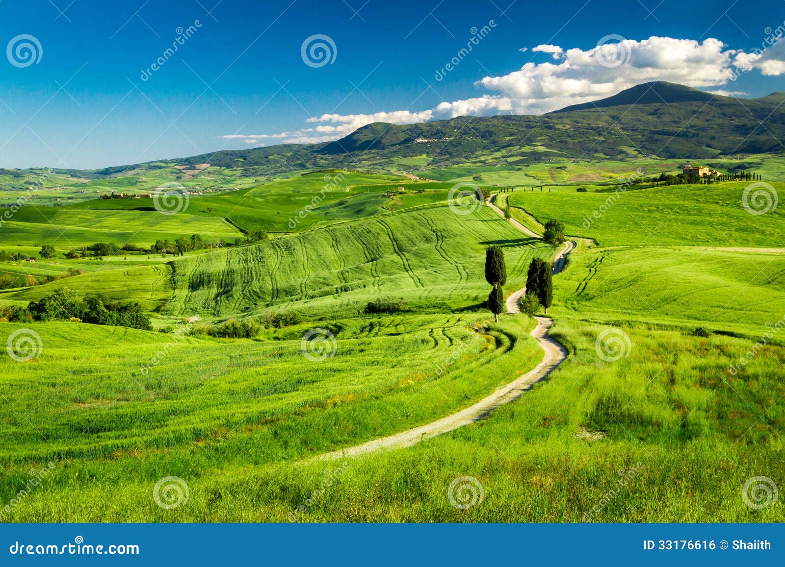 Beautiful View of the Path between the Fields Stock Photo - Image of ...