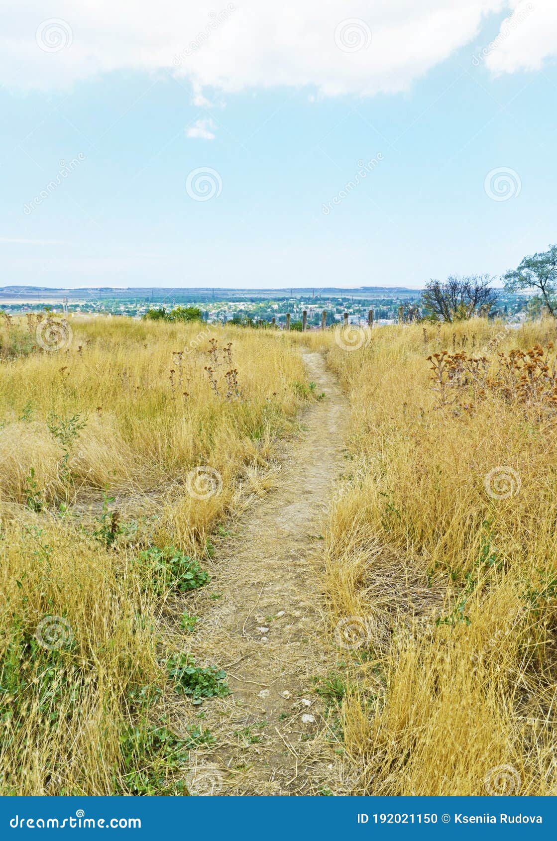 View of the Path among the Grass on the Hill Stock Photo - Image of ...
