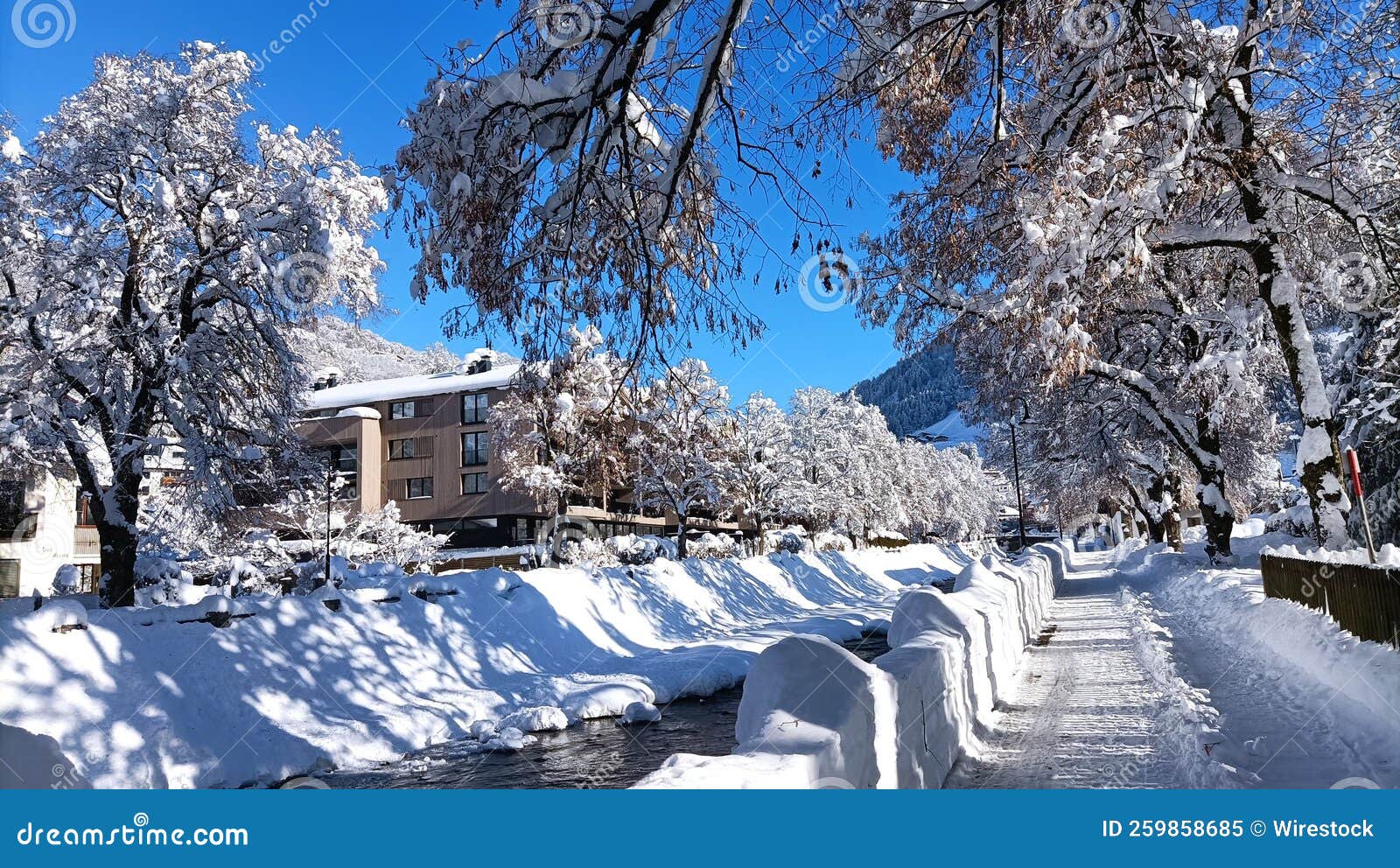 Beautiful View of a Path during the Winter Stock Image - Image of snowy ...