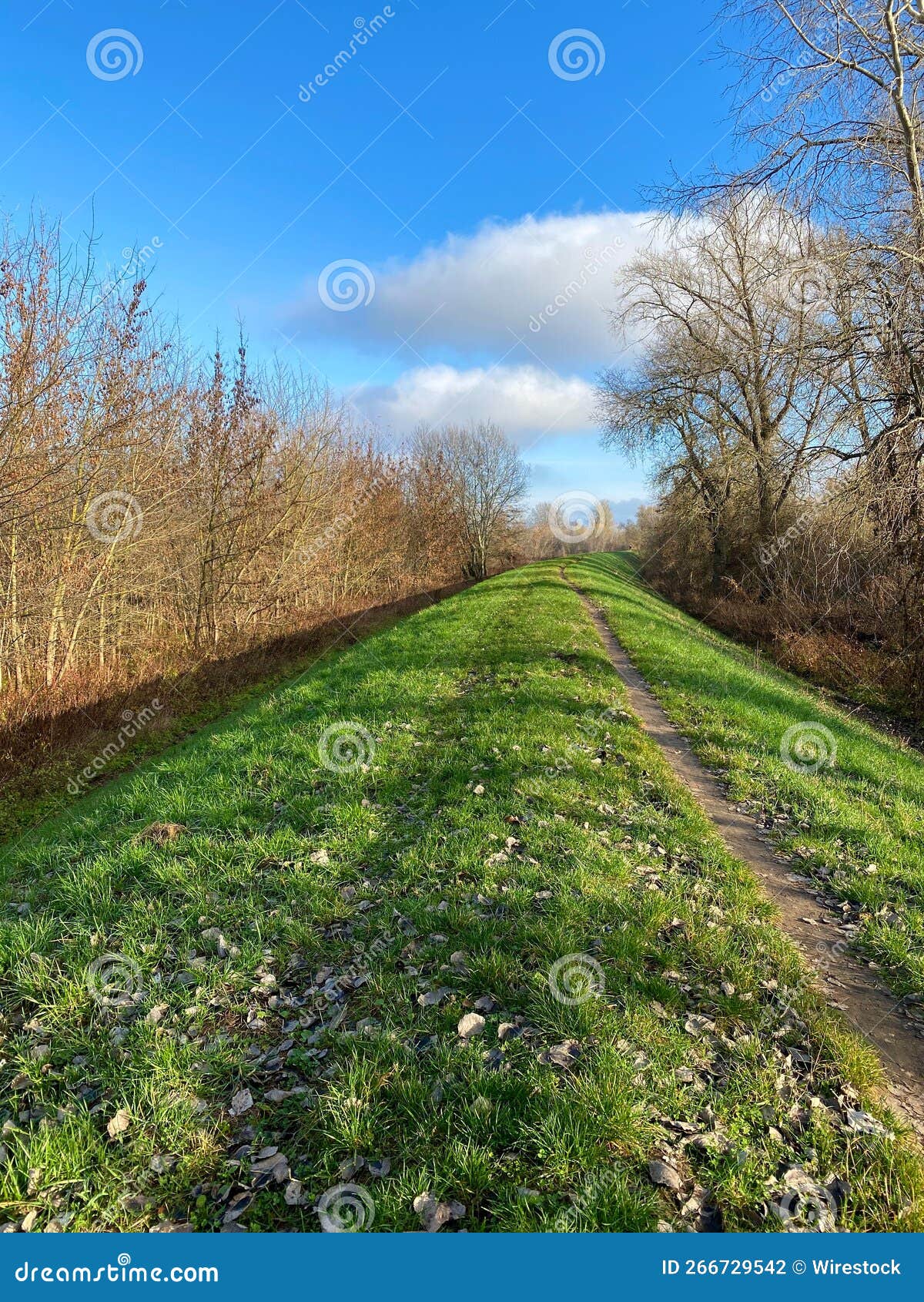Beautiful View of a Pathway with Green Grass Stock Photo - Image of ...