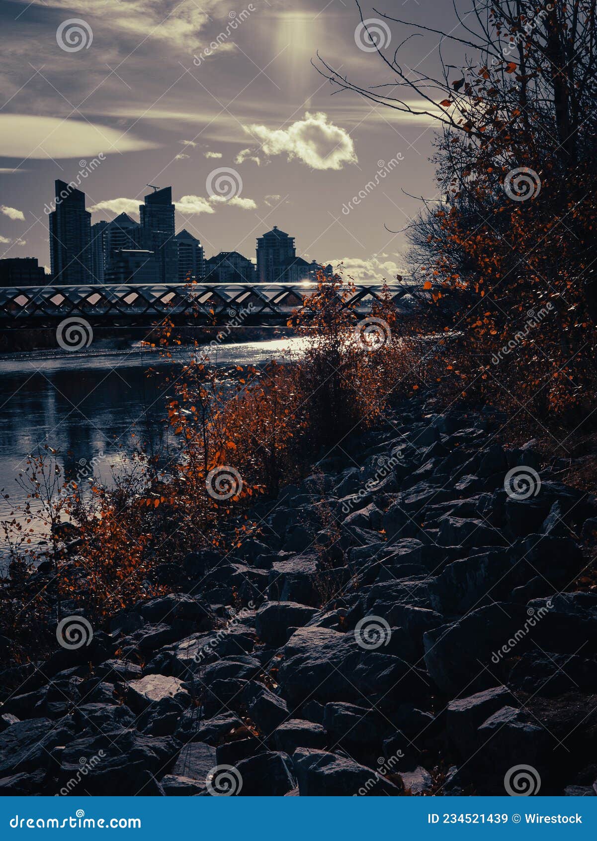 Beautiful View of the Peace Bridge Suspended Over the Bow River with ...