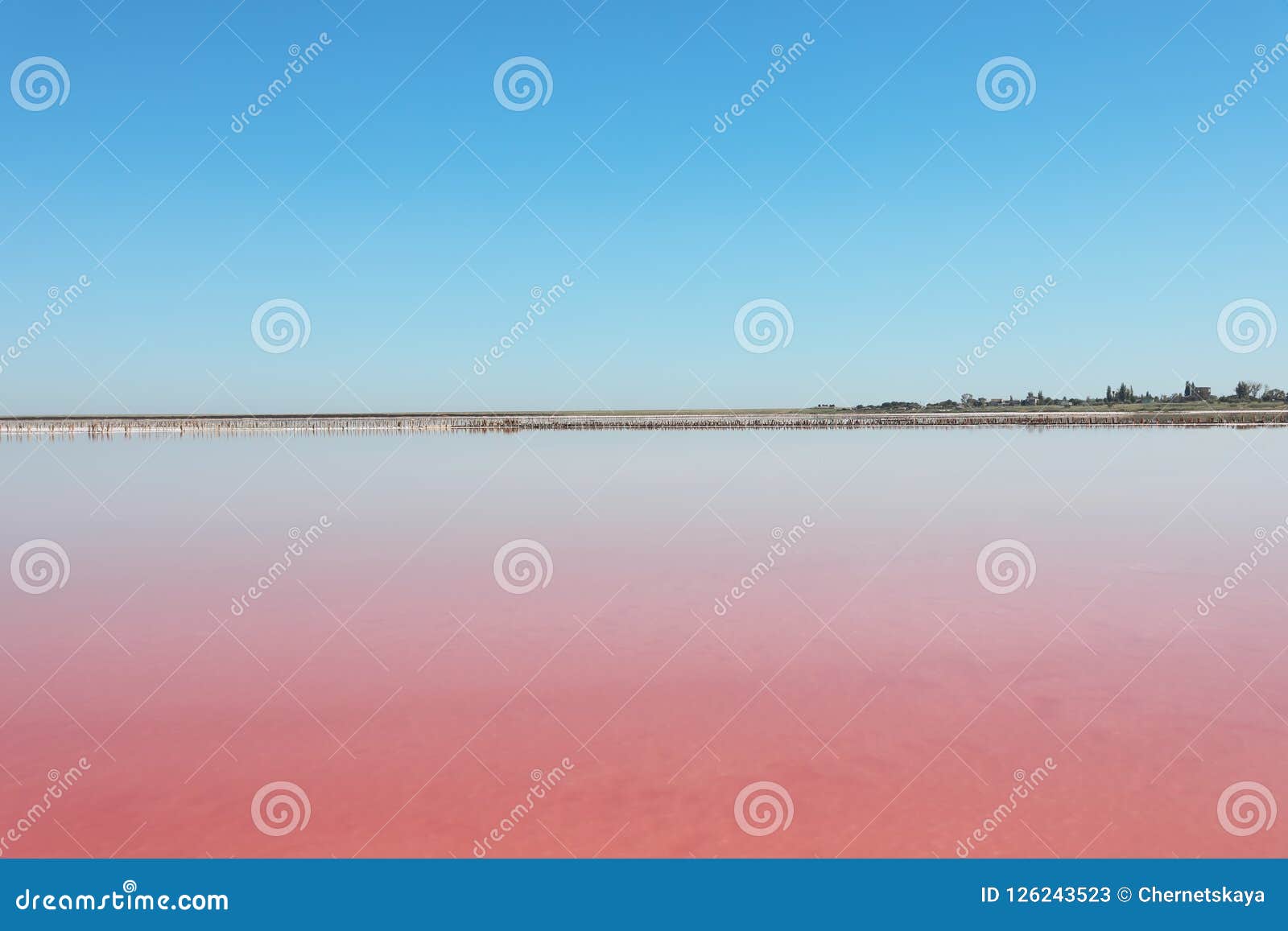 Beautiful View of Pink Lake Stock Image - Image of background, leisure ...