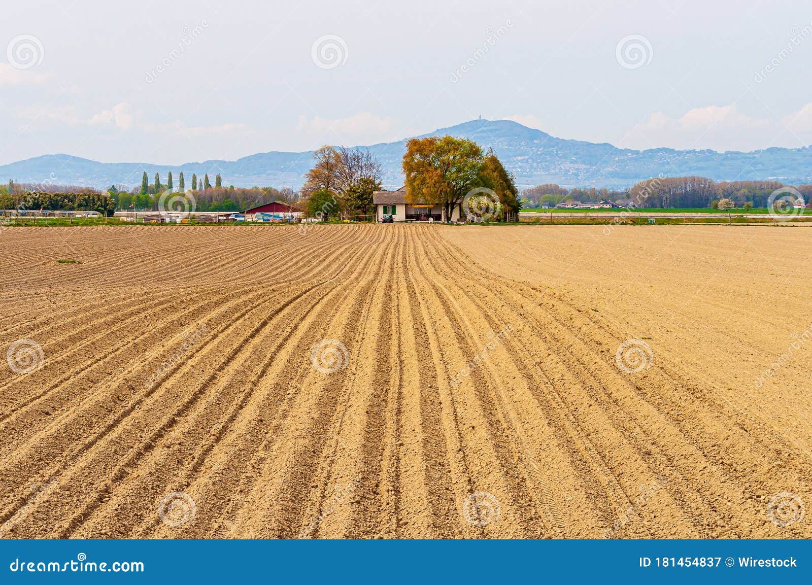 Beautiful View of a Plain Farm with a House and Some Trees in the ...