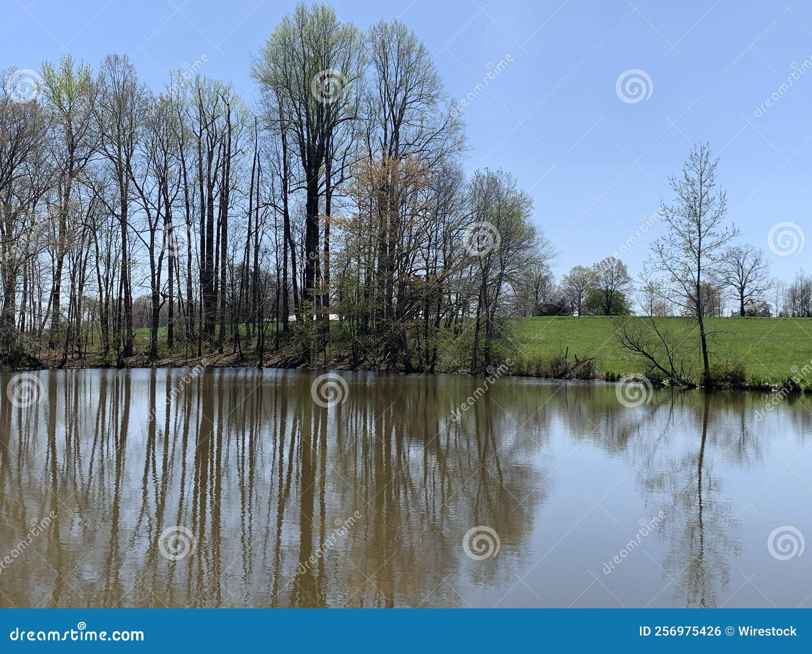 Beautiful View of Pond with Trees in the Reflection on Water Stock ...