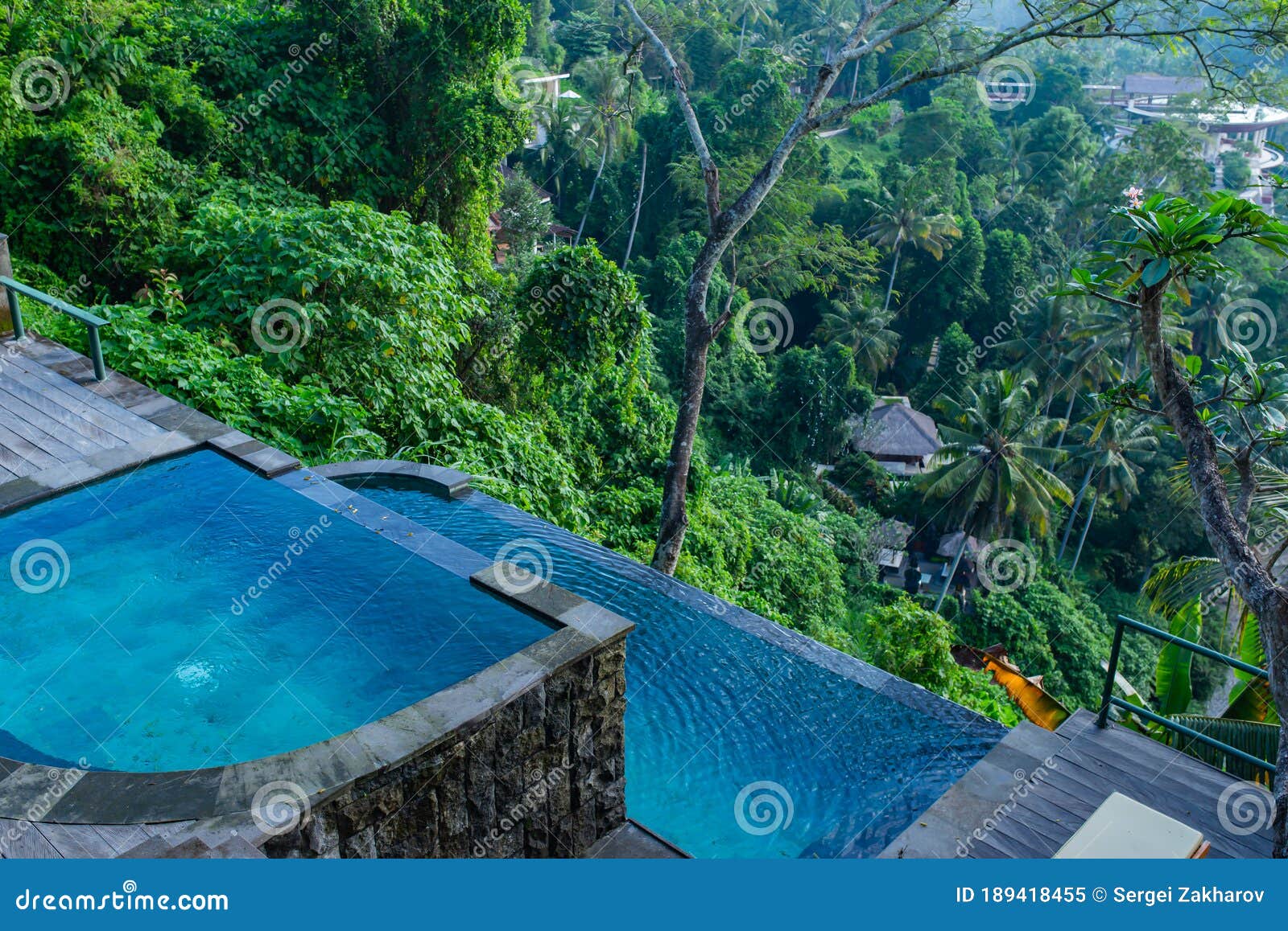Beautiful View from the Pool To the Jungle Stock Image - Image of ...
