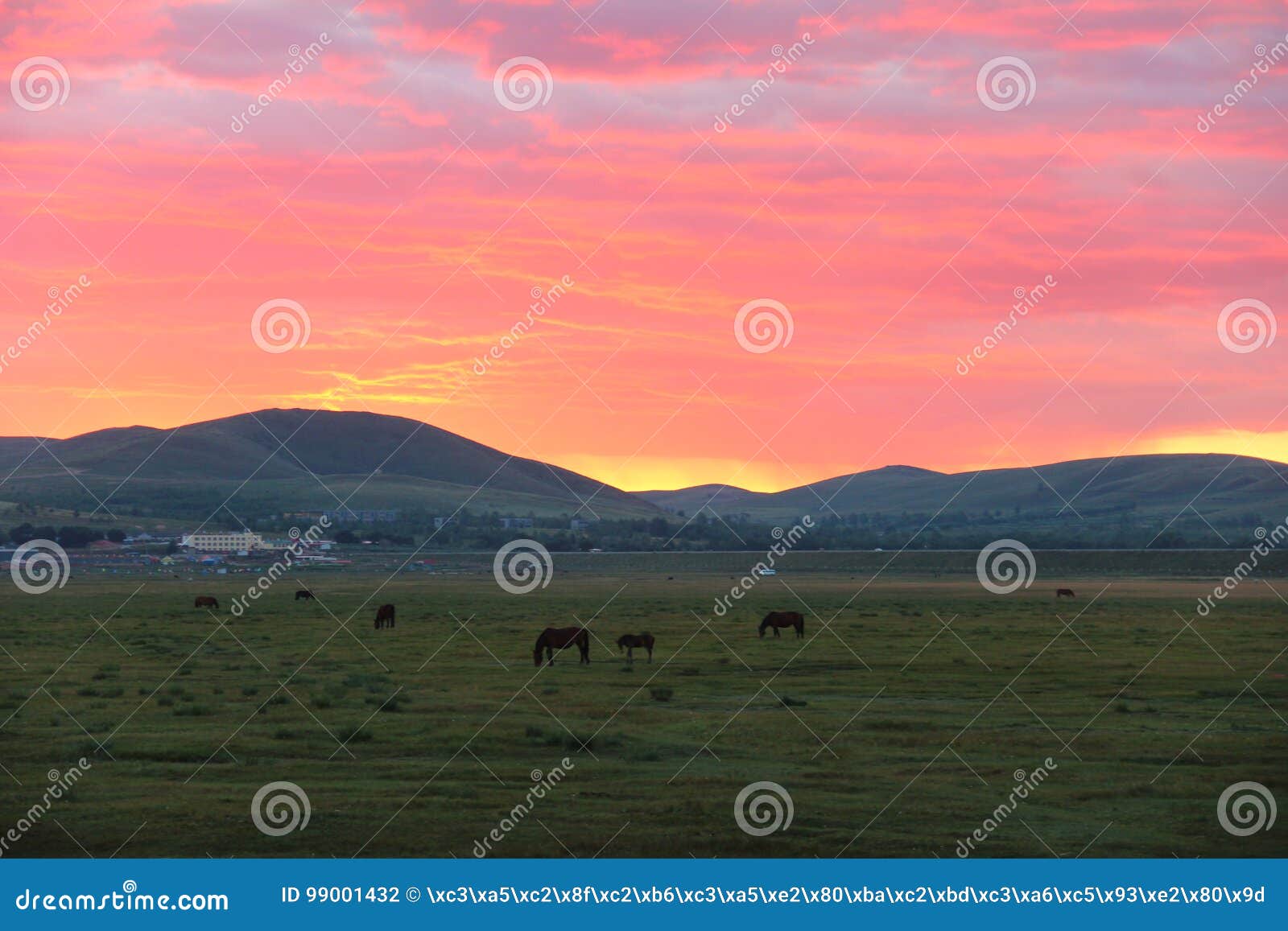 The sunrise of the prairie stock photo. Image of prairie - 99001432